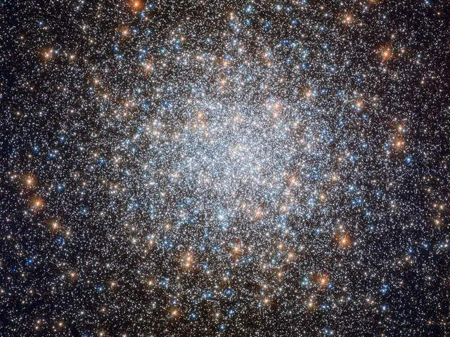 Night Sky Grid profile